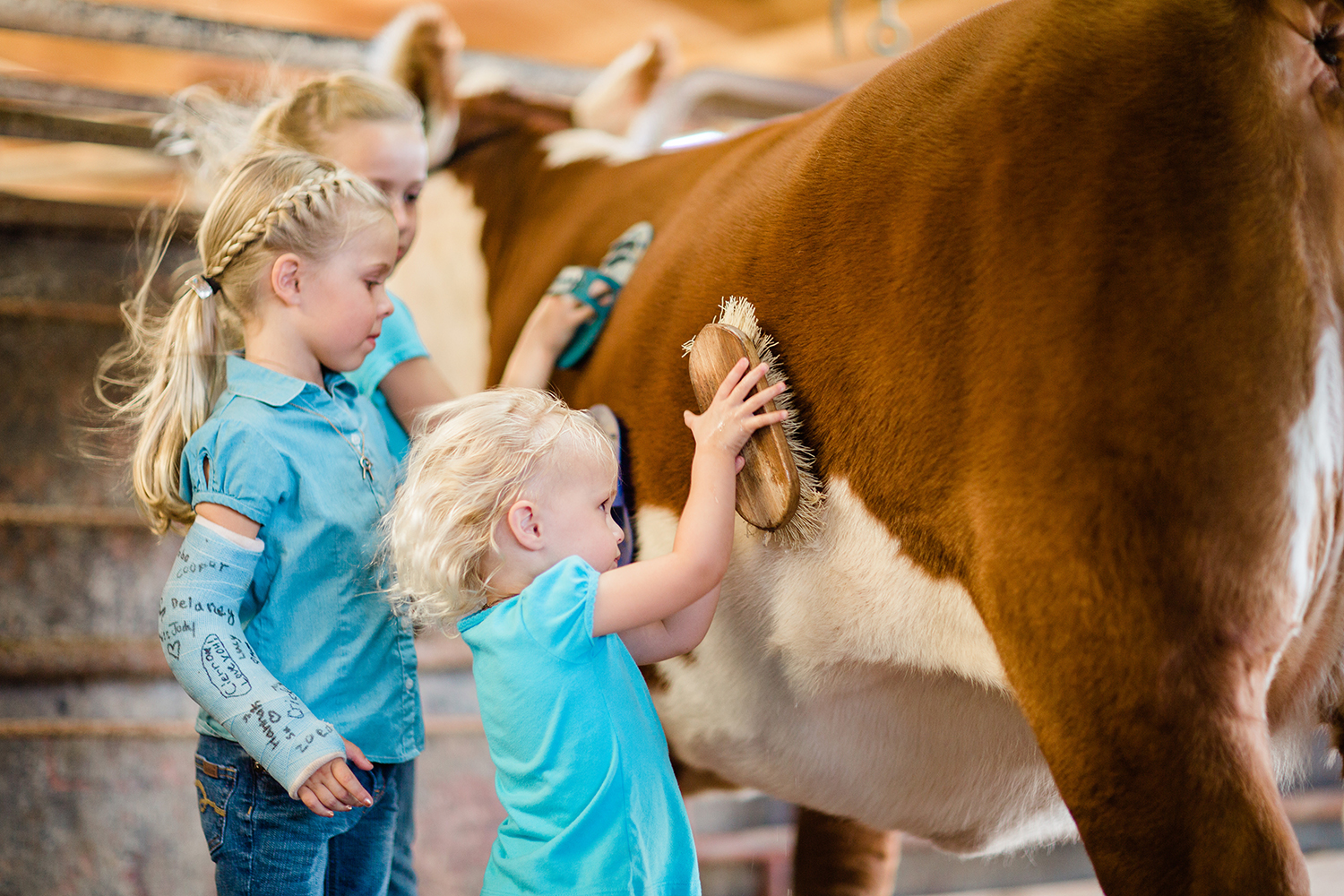 Colby and Shellie Collins